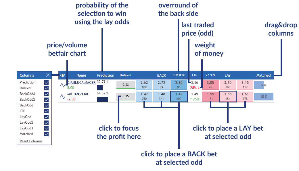Grid view | User Guide | Wagertool