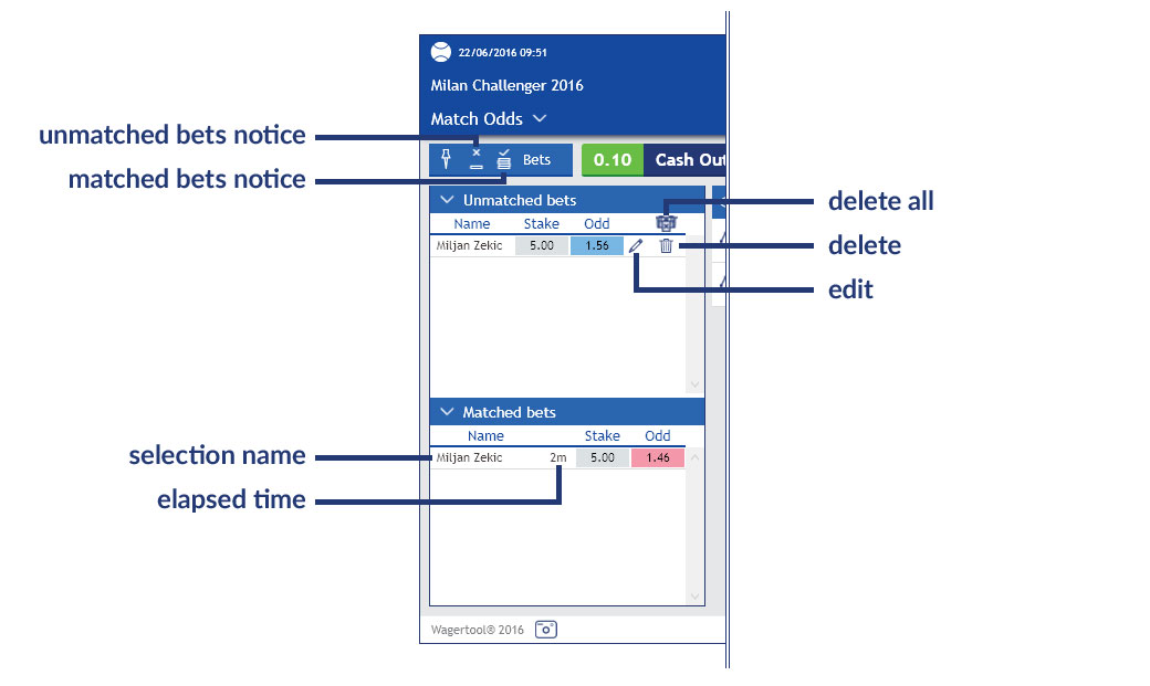 Grid view | User Guide | Wagertool