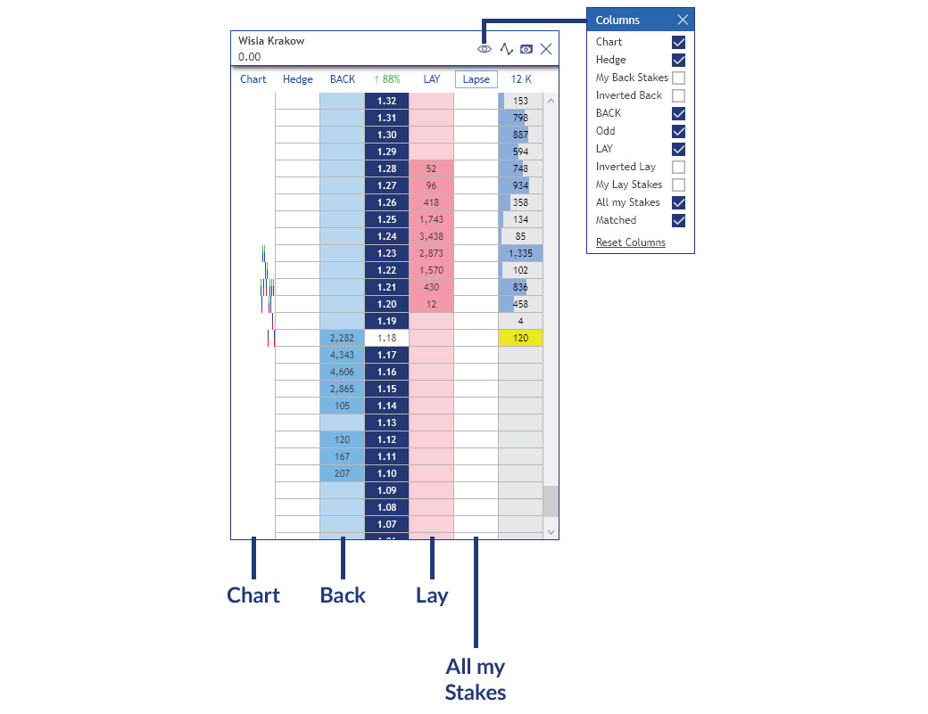 Ladder view | User Guide | Wagertool