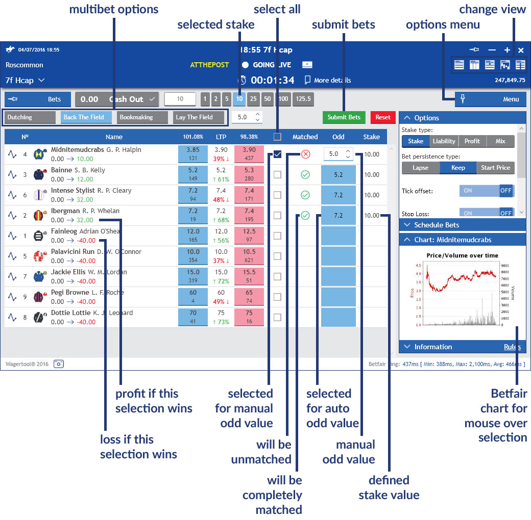 Multibet view | User Guide | Wagertool