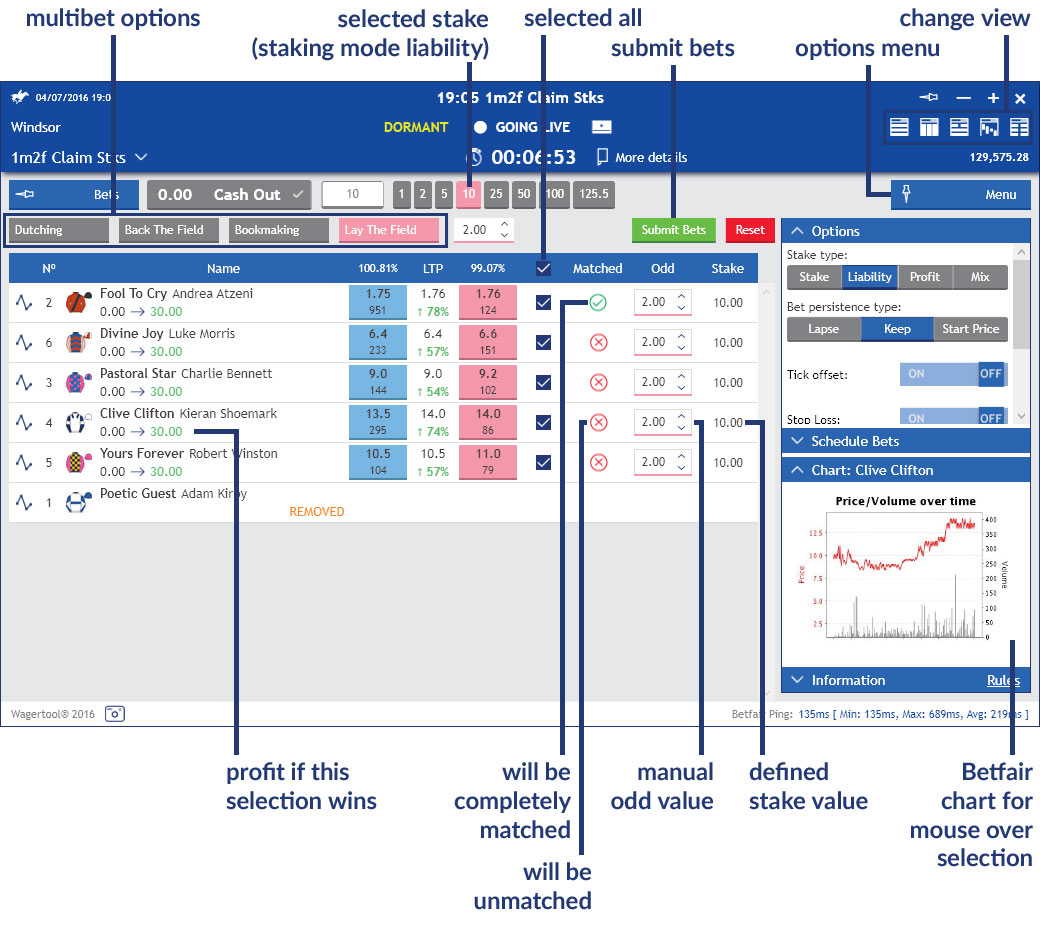 Multibet view | User Guide | Wagertool