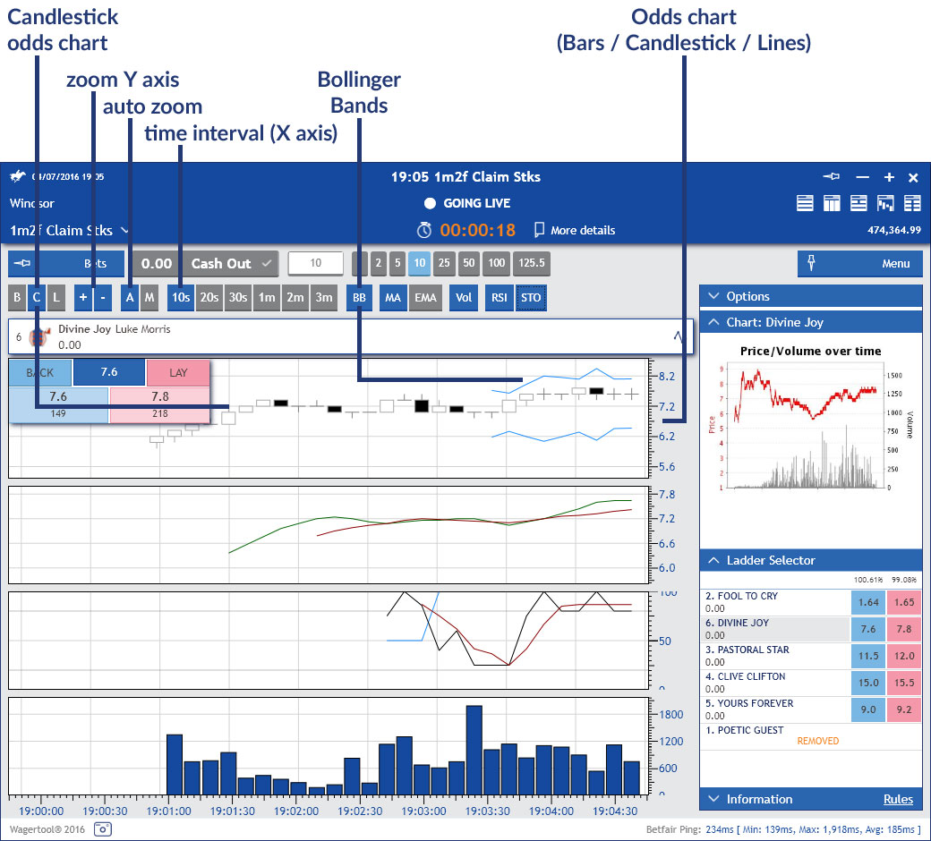 Chart view | User Guide | Wagertool