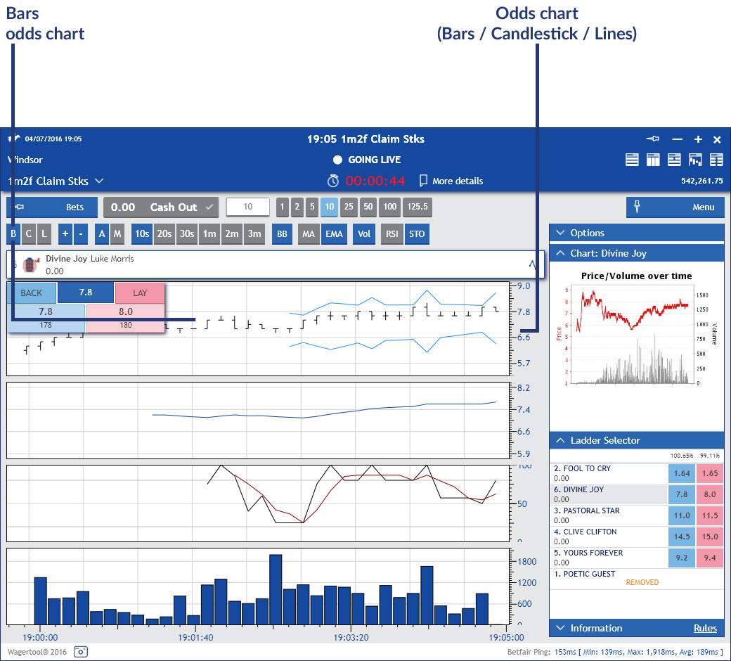 Chart view | User Guide | Wagertool