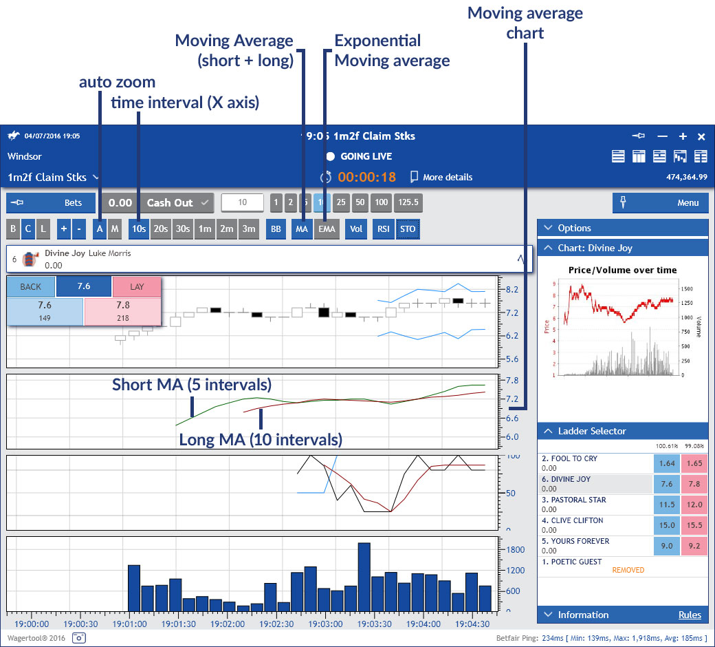 Chart view | User Guide | Wagertool