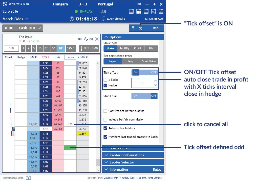 Betting automation | User Guide | Wagertool