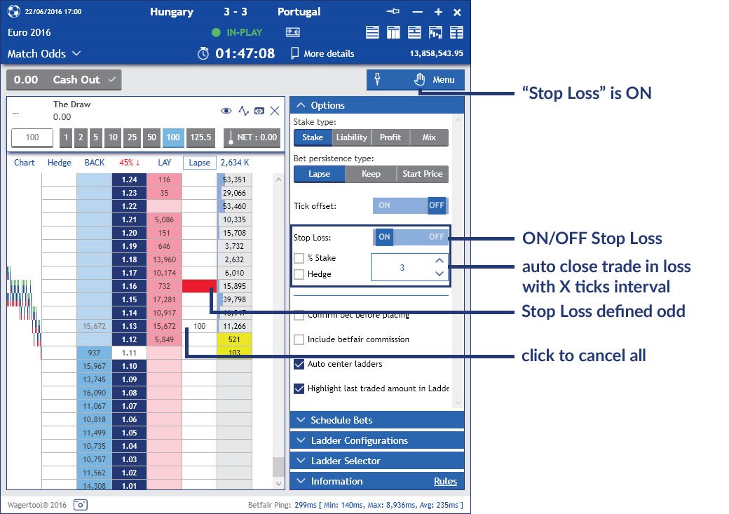 Betting automation | User Guide | Wagertool