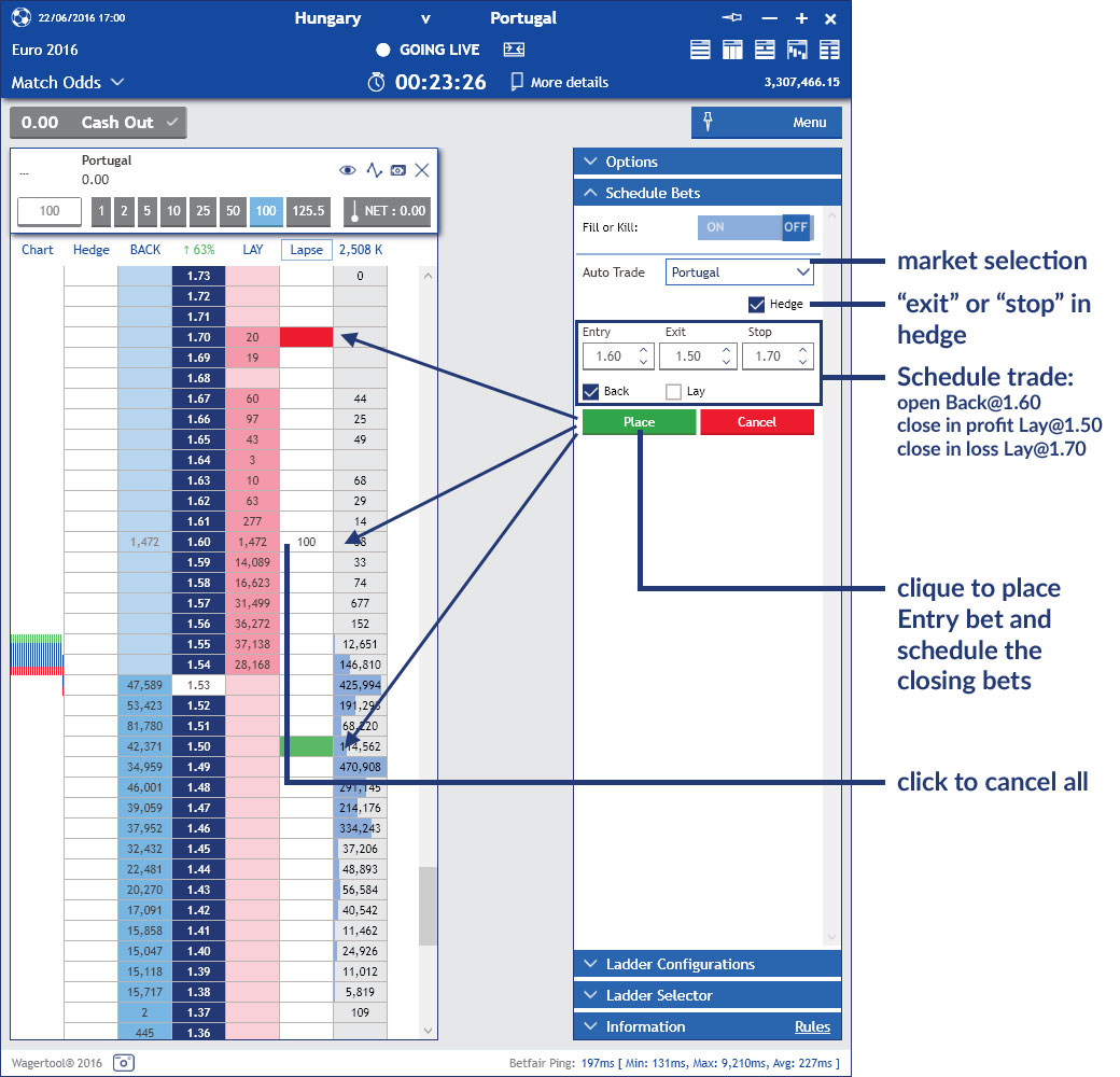 Betting automation | User Guide | Wagertool